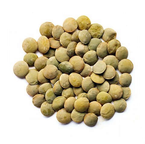Photo Gallery - Laird lentils - Pulses