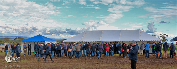 Hart Field Day - Australia - Pulses