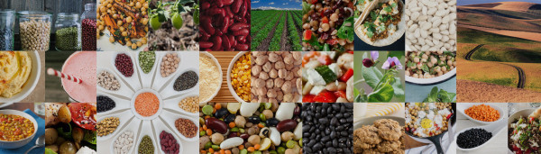 bg-home-intro - Half Cup Habit